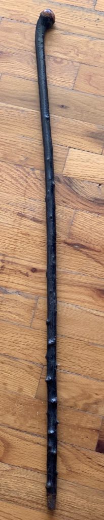 Antique Canes | S&H Civil War Antiques